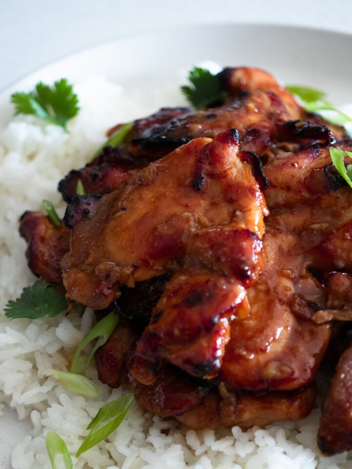 Easy Teriyaki Chicken on a Stick Recipe