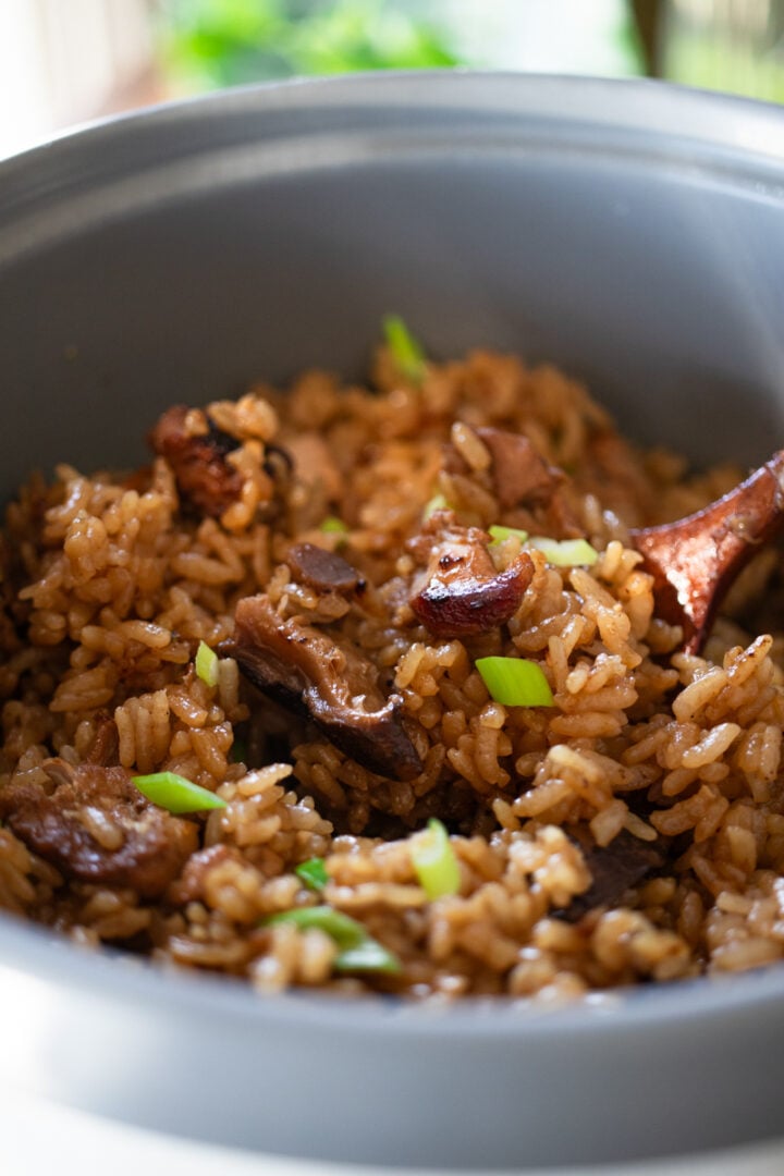 Rice Cooker Chicken and Rice