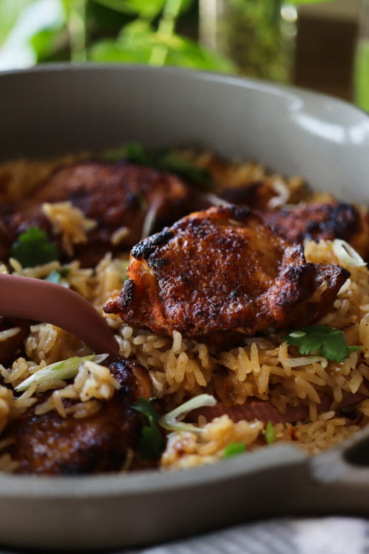 One Pot Garlic Chicken And Rice - Eat With Carmen